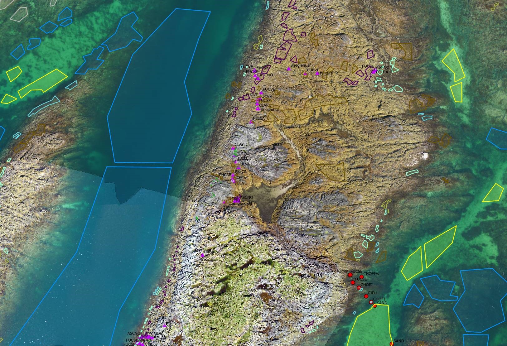 Coastal Habitat Mapping - Seabee Norway
